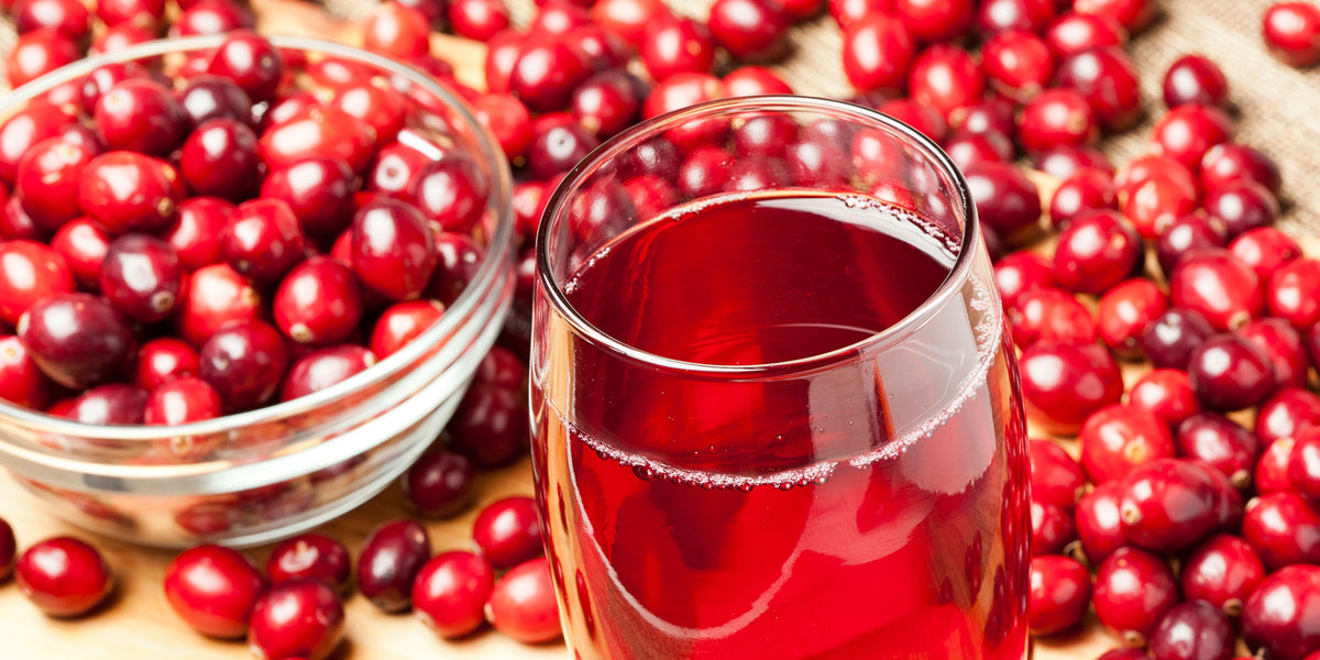 The Best Herbs & Natural Approaches For UTI: Herbal Resources for UTI